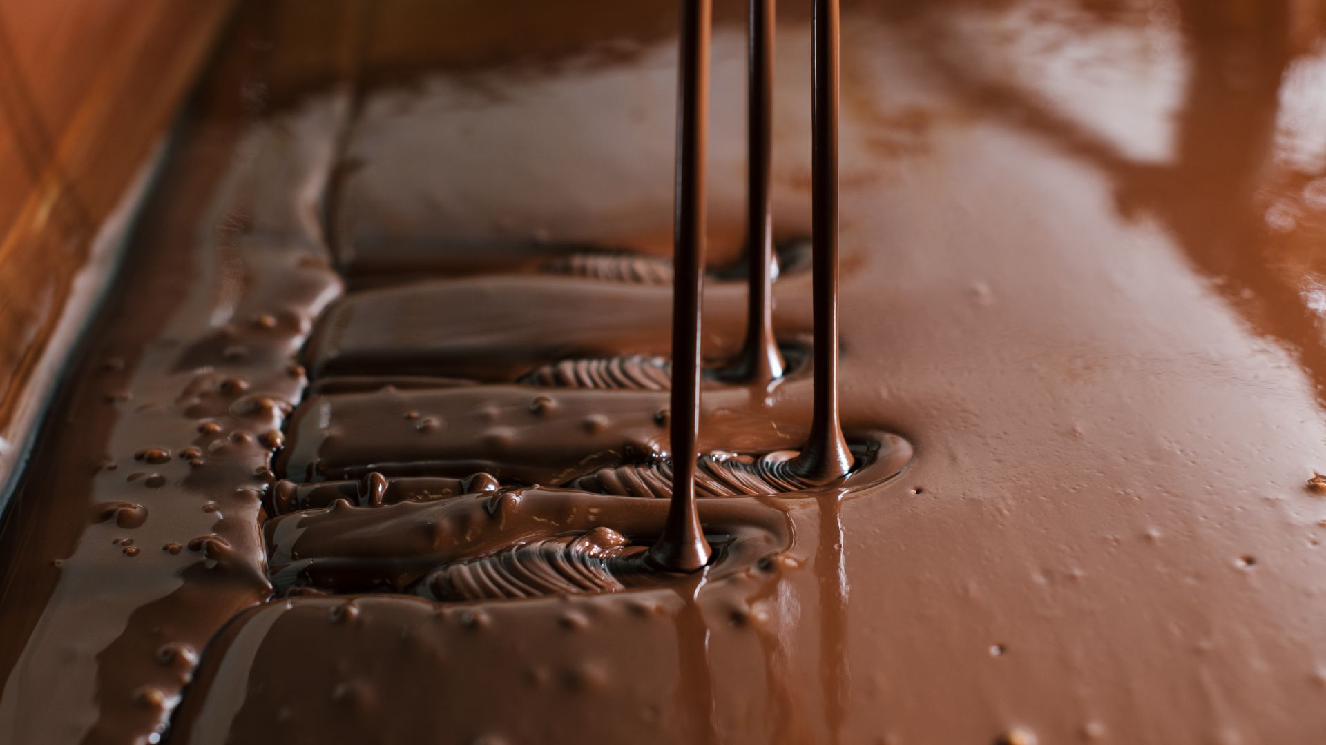 The chocolate factory | Galler